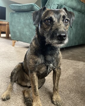 Eve Scott Lighting | Storefront | notonthehighstreet.com